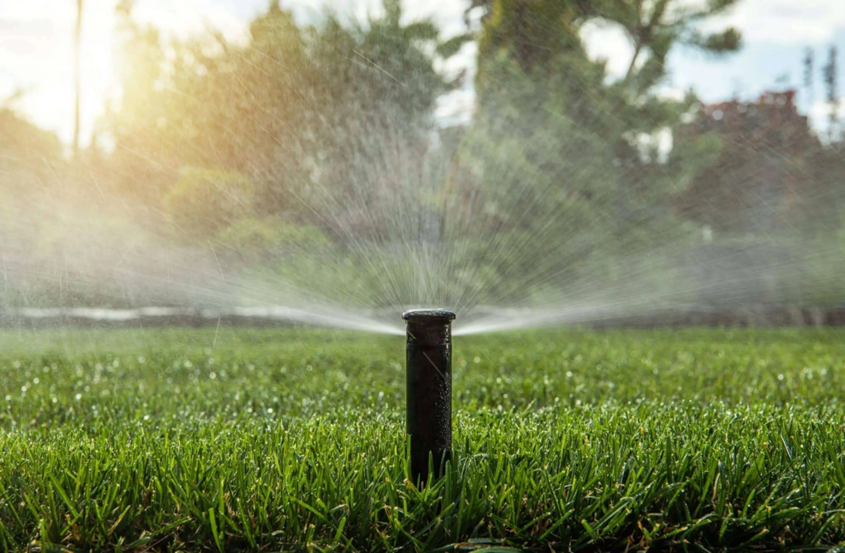 Three Reasons to Avoid Using Sprinklers for your Trees - Cherokee Tree Care