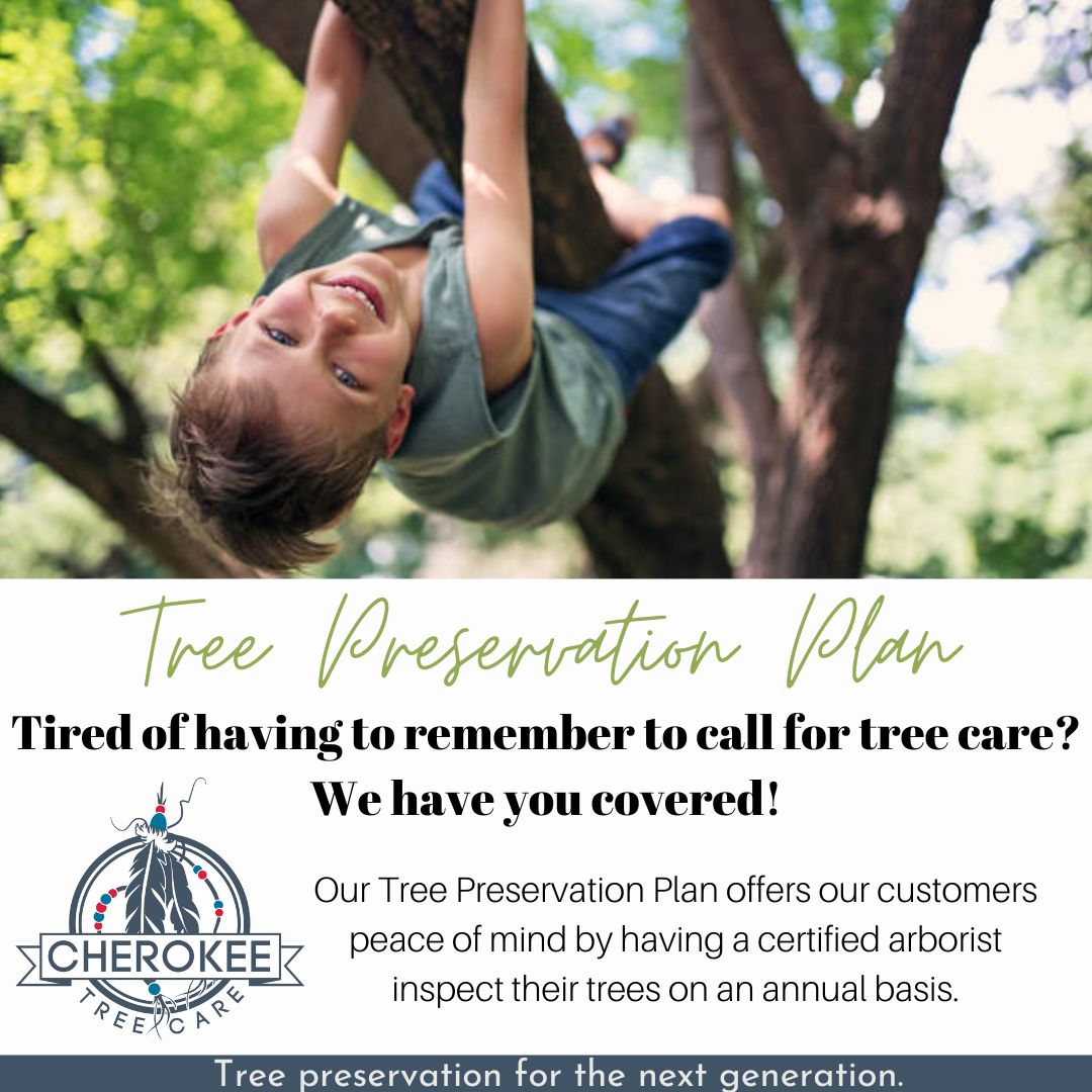 Tree Preservation Plan - Cherokee Tree Care