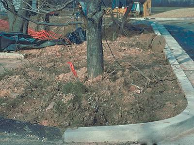 Trees and Construction - Cherokee Tree Care