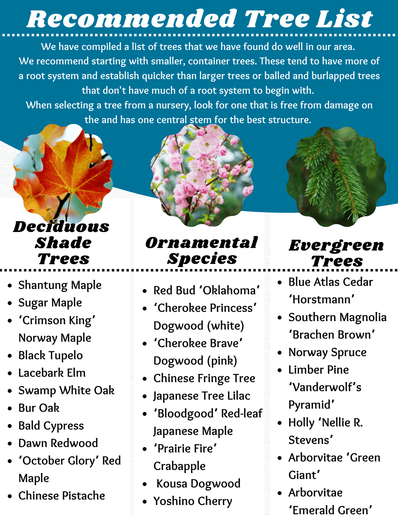 Fall 2022 Tree Planting Season - Cherokee Tree Care